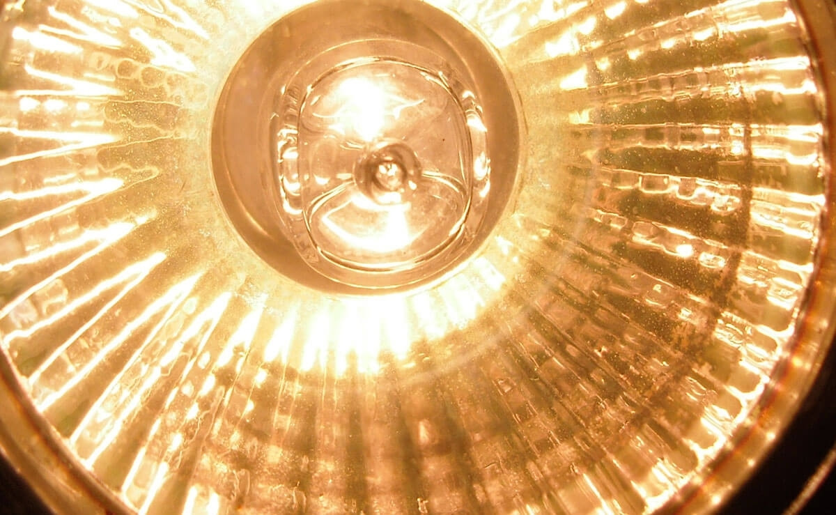 LED Spotlight Bulbs | SimplyLED